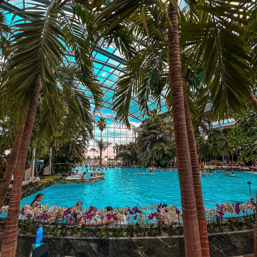 Therme Bucharest The Palm Zone: Complete Visitor Guide